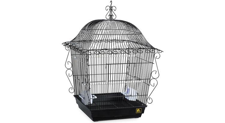 7 Hanging Bird Cages that Are Perfect for Any Backyard